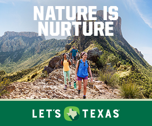 Smithsonian Magazine Daily Newsletter