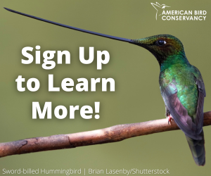 Smithsonian Magazine Daily Newsletter