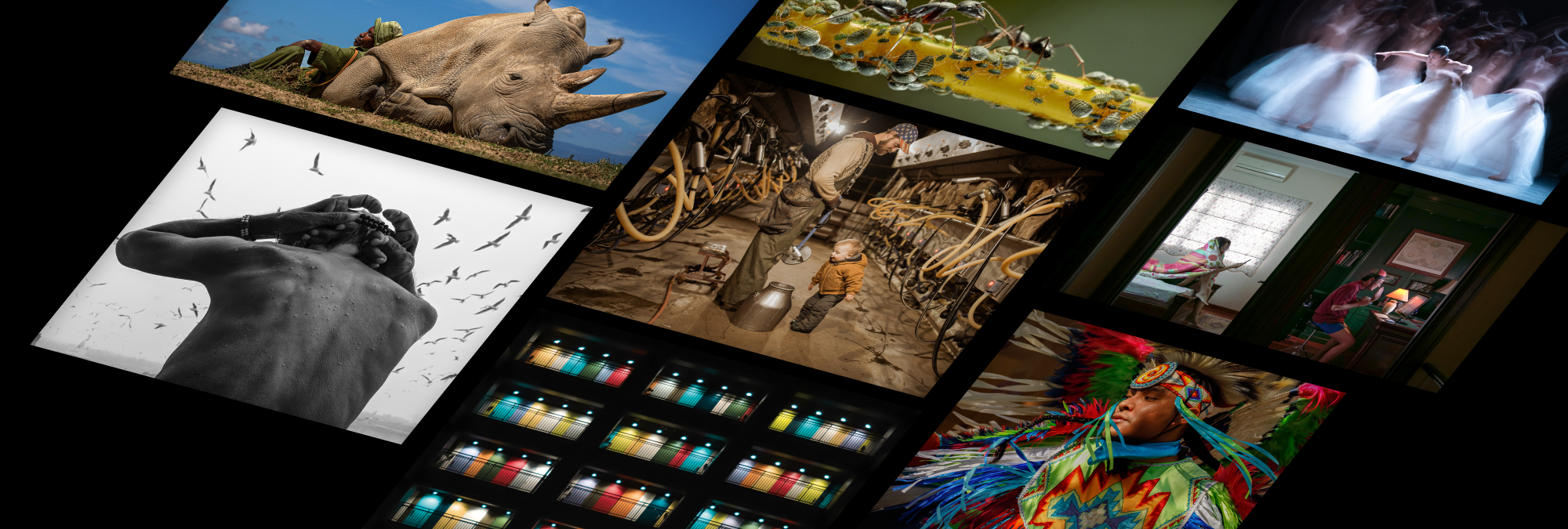 These Are the Winners of Smithsonian Magazine's 19th Annual Photo ...