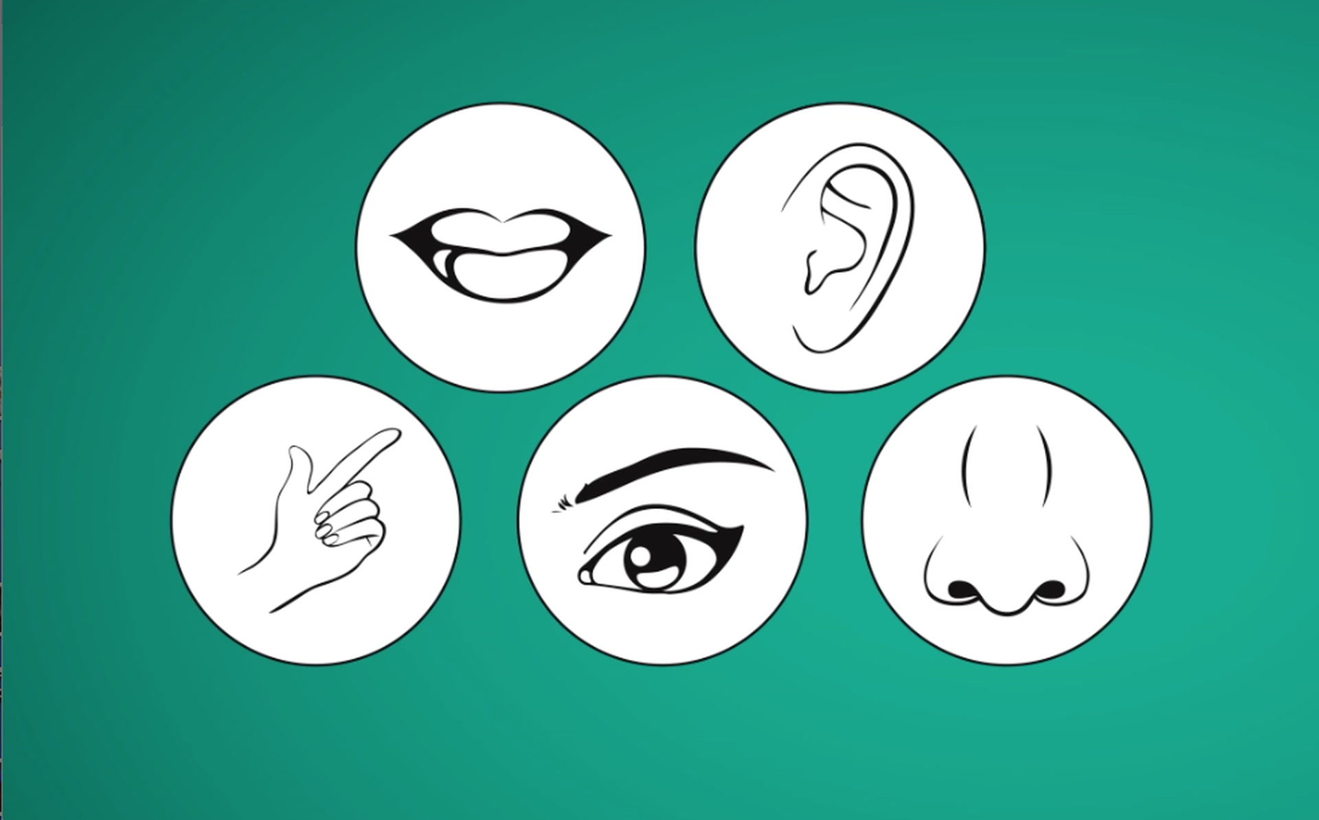 Ask Smithsonian: Five False Facts About the Human Body Smithsonian Magazine