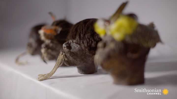 The Reason This South American Tribe Shrunk Their Enemies' Heads ...