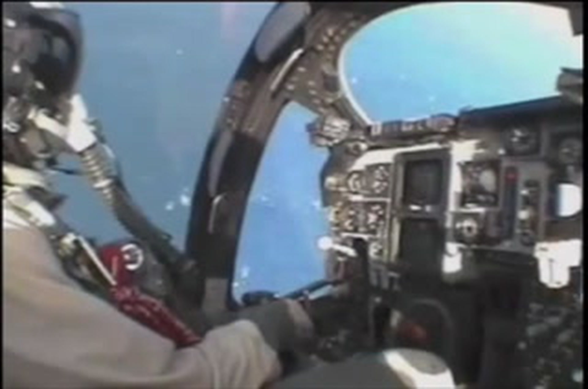 On the Prowl Smithsonian Magazine