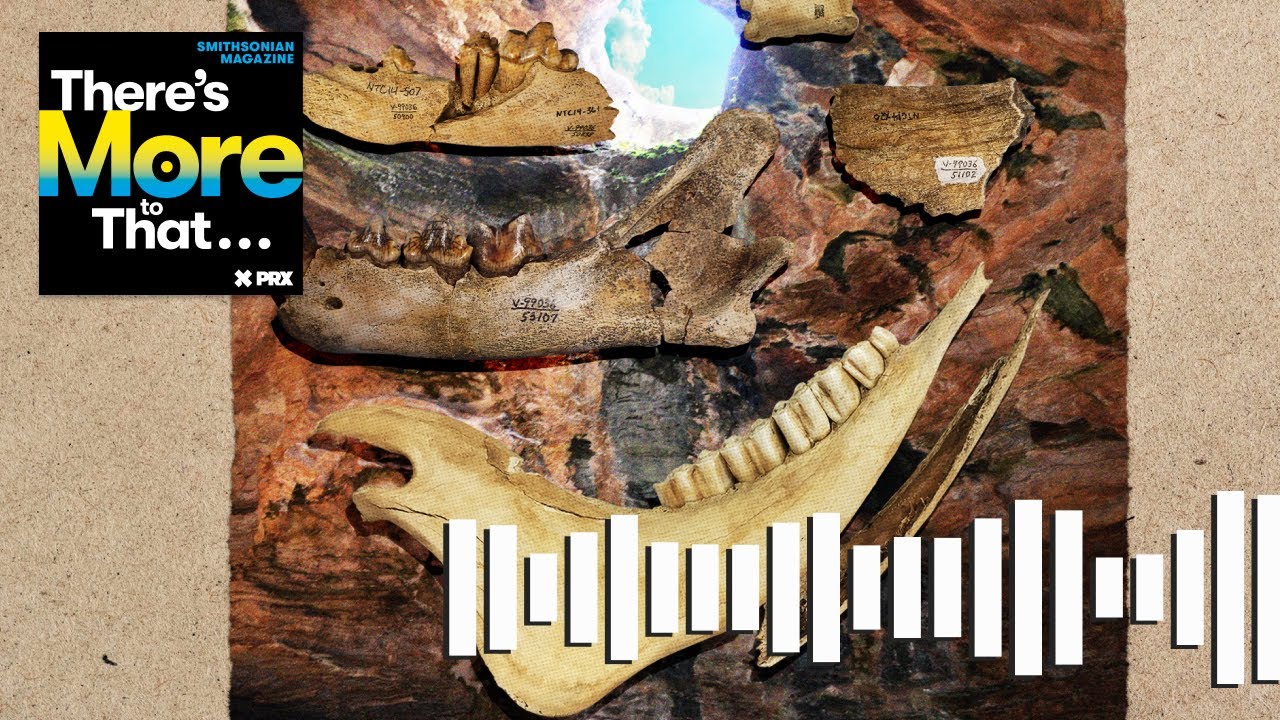 The Prehistoric Cave That Trapped and Entombed Animals for Millennia ...