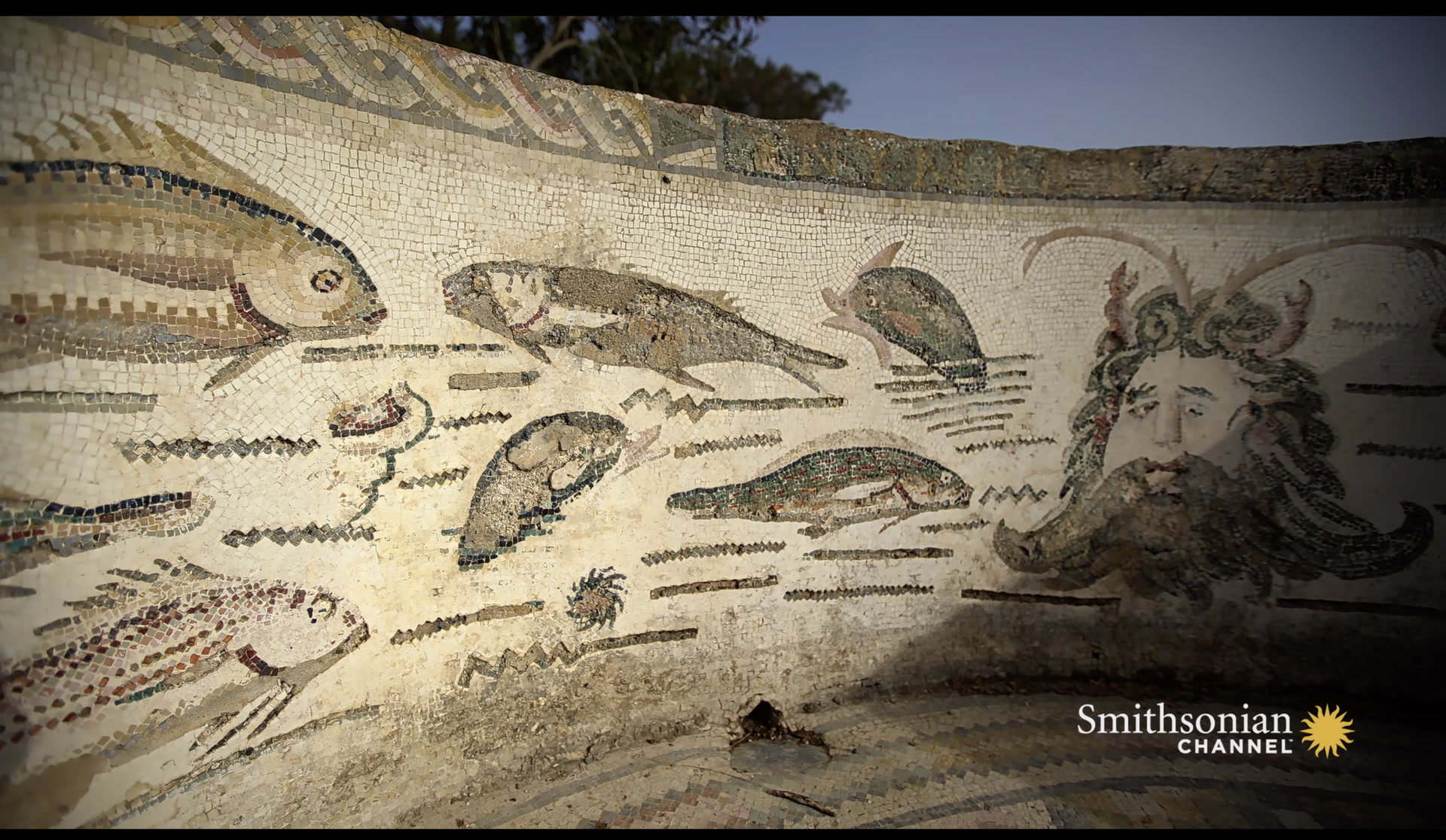 The Fishy Reason This Ancient Roman City Was So Wealthy Smithsonian ...