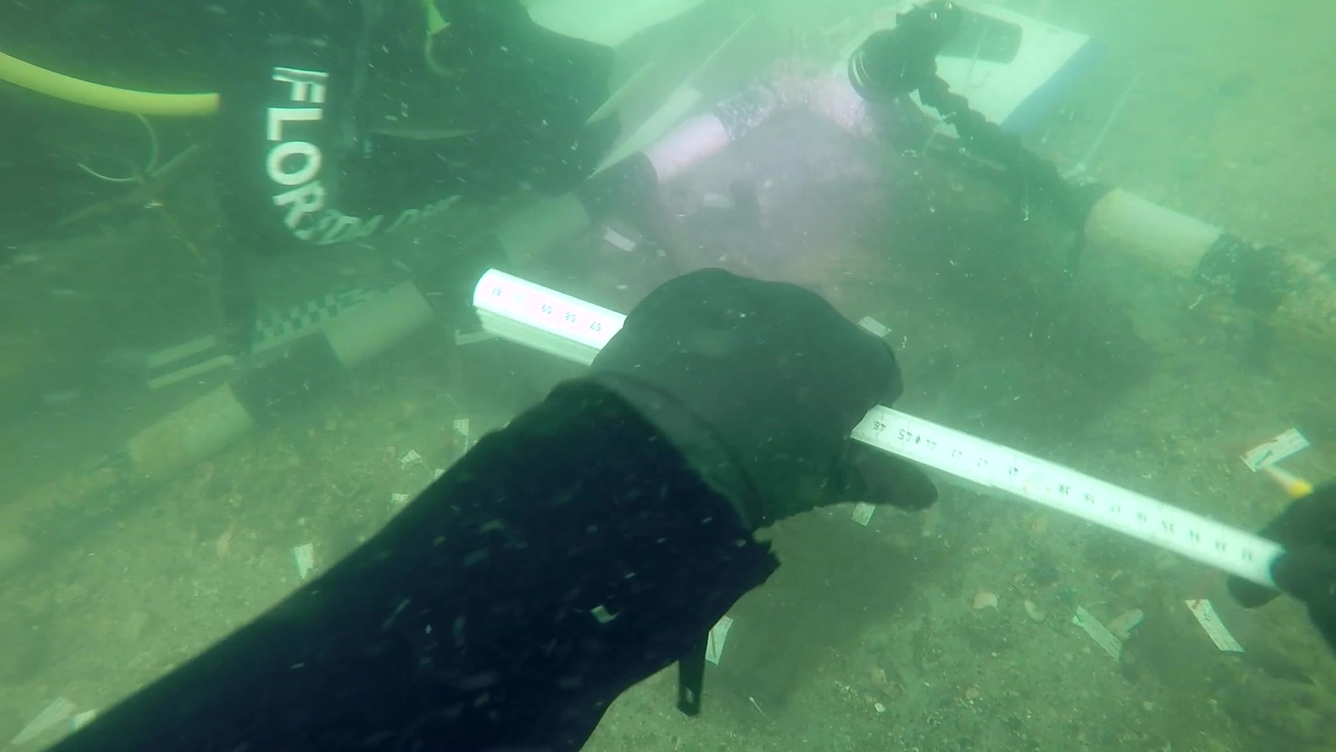 Manasota Key Offshore Smithsonian Magazine