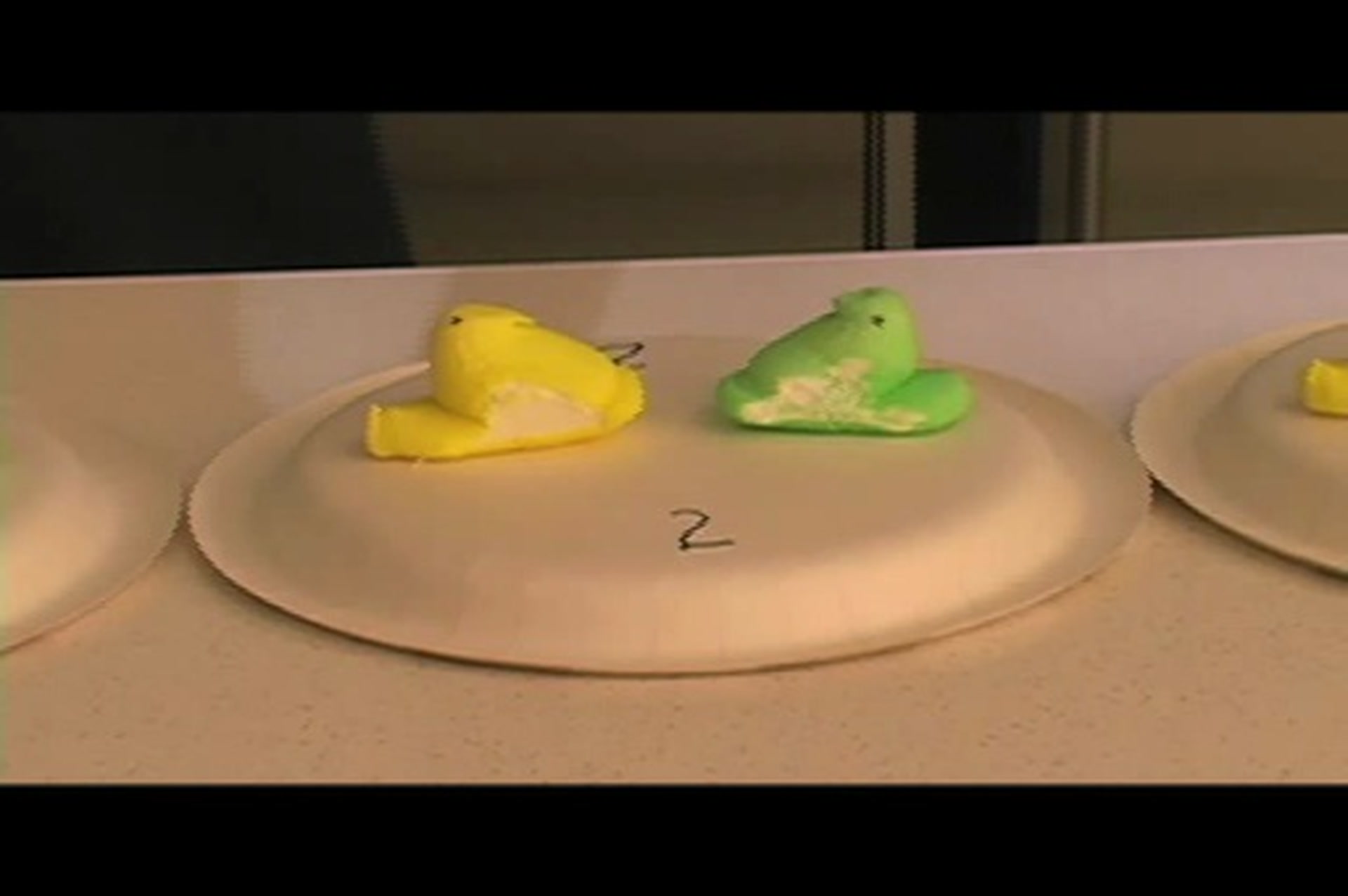 A Peep Jousting Experiment Smithsonian Magazine