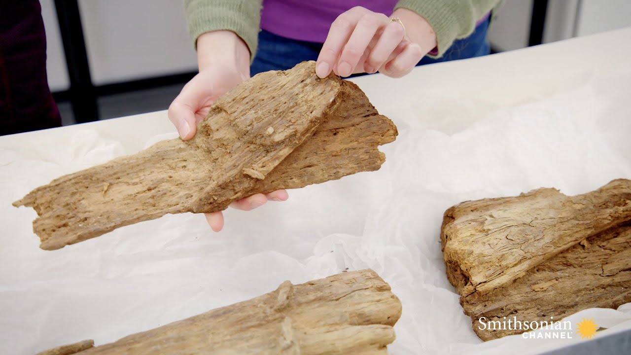 This 11,000-Year-Old Piece of Wood Is More Than It Seems Smithsonian ...
