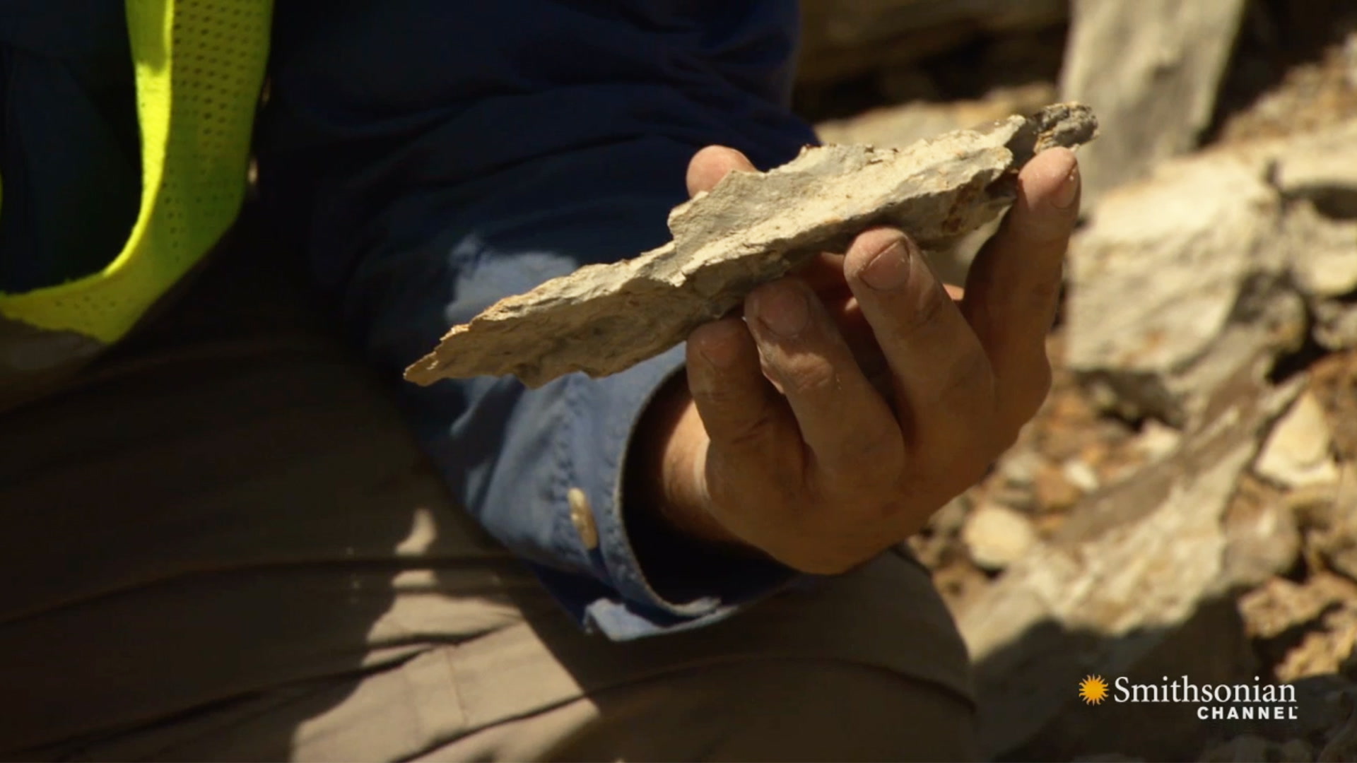 Meet the Scientist: Carlos Jaramillo Smithsonian Magazine