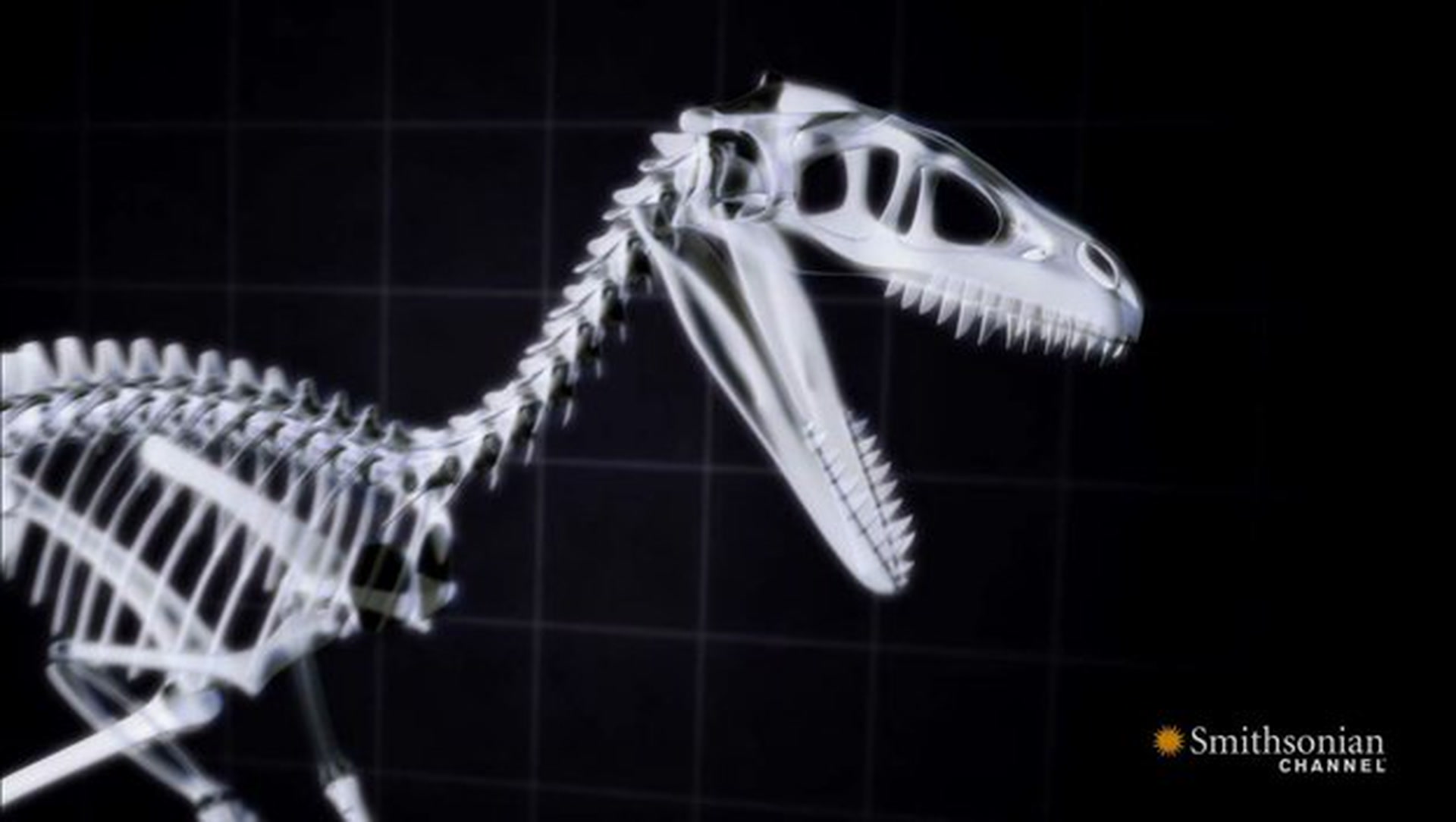 What Jurassic Park Got Wrong About Raptors Smithsonian Magazine