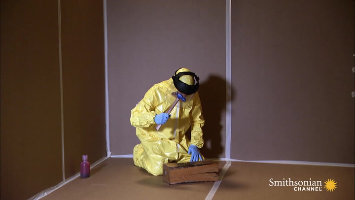 These Are the Three Main Categories of Bloodstain Pattern Smithsonian ...