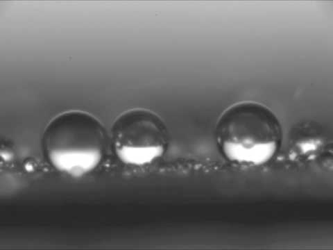 How Water Beads Form Smithsonian Magazine