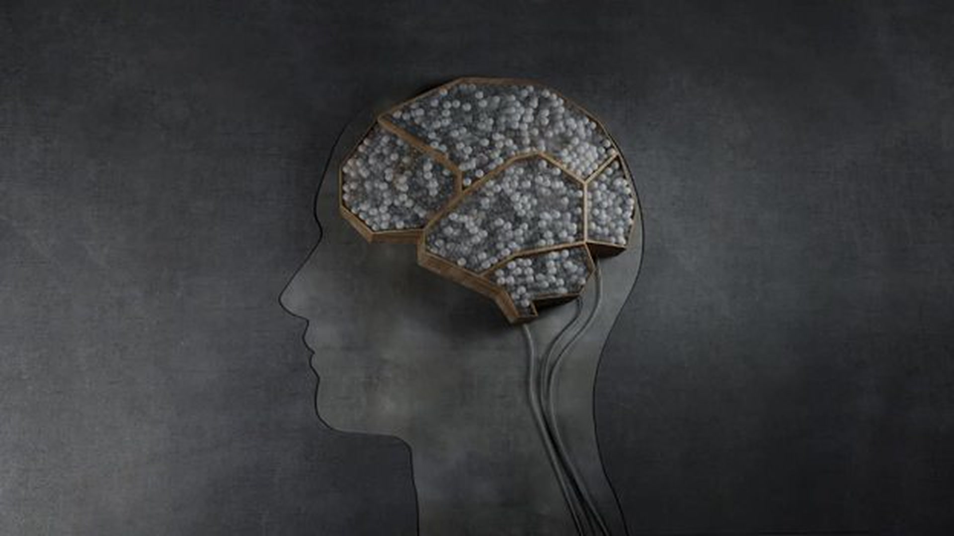 Your Brain Is to Blame - Episode 2: I'll Do It Later Smithsonian Magazine