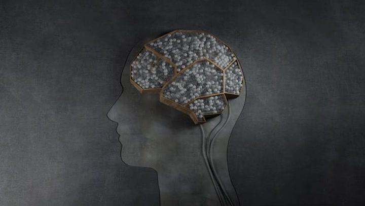 Your Brain Is to Blame - Episode 2: I'll Do It Later Smithsonian Magazine