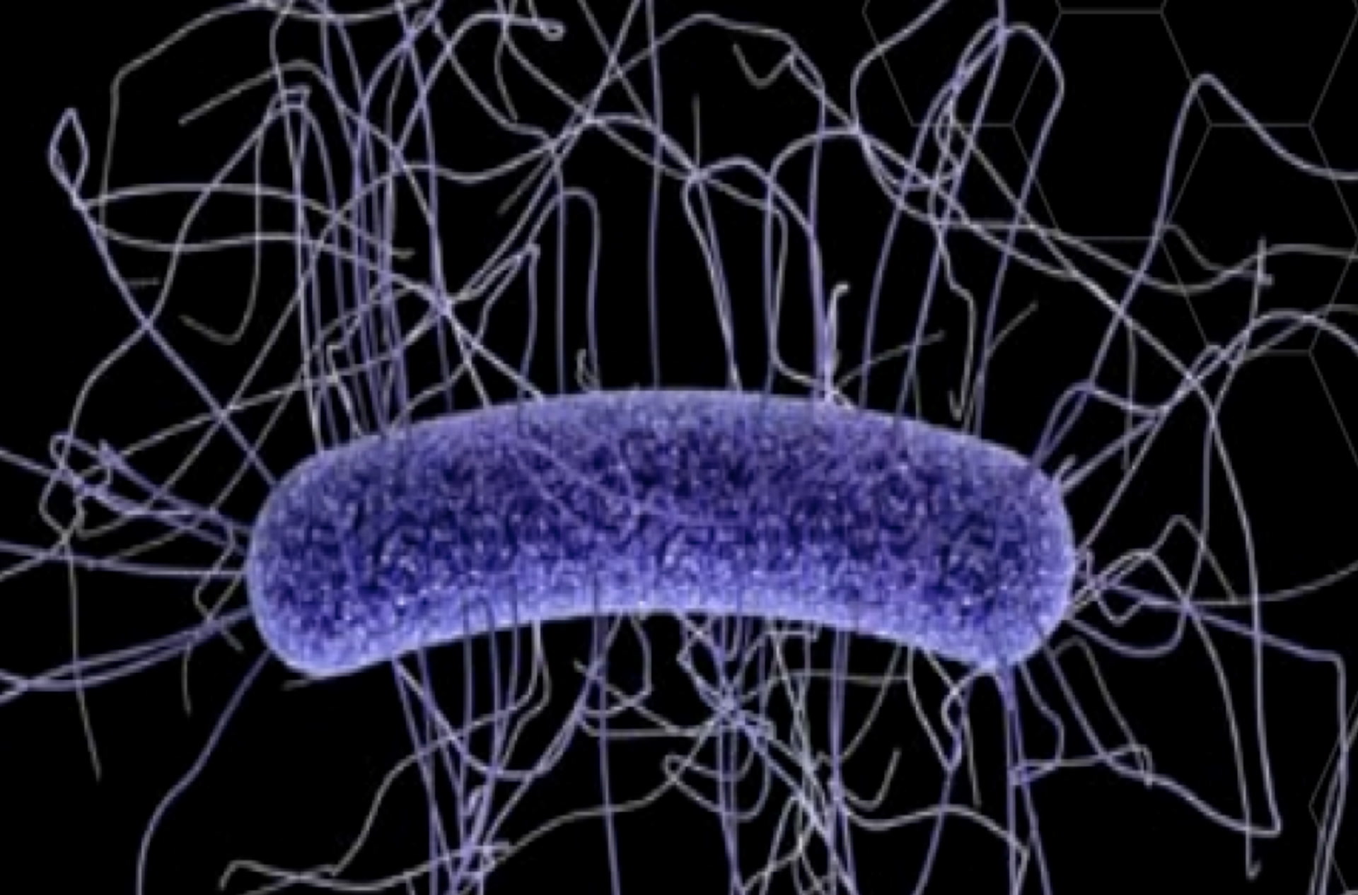 Fecal Matters: The Ins and Outs of Fecal Transplants Smithsonian Magazine