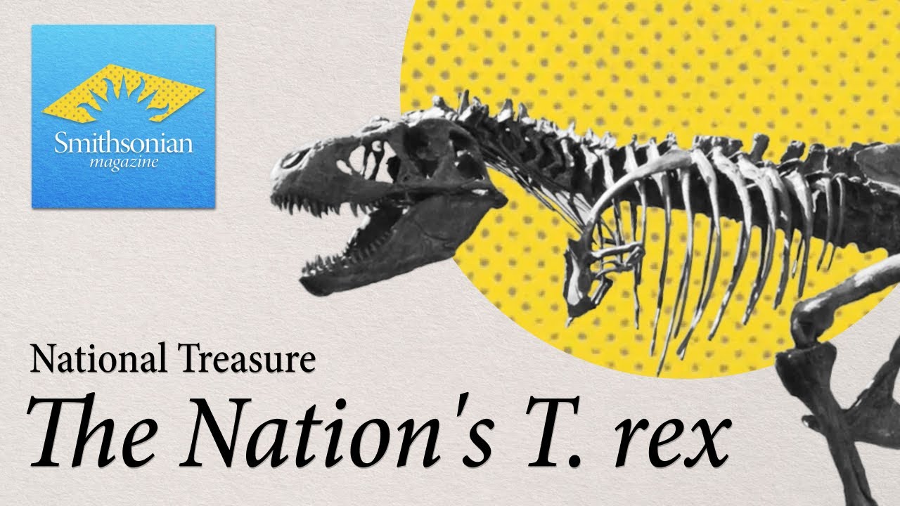 National Treasure: The Fearsome Science Behind the T. rex, the King of ...
