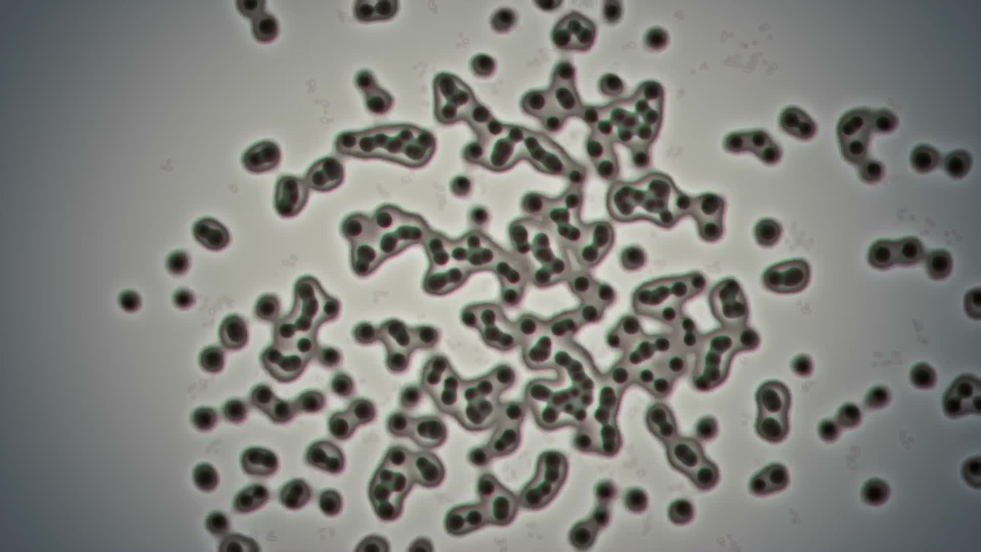 Ask Smithsonian: Does the Five-Second Rule Really Work? Smithsonian ...