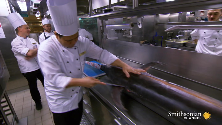 A Cruise Ship Chef Hunts for Big Fish. Will He Succeed? Smithsonian ...