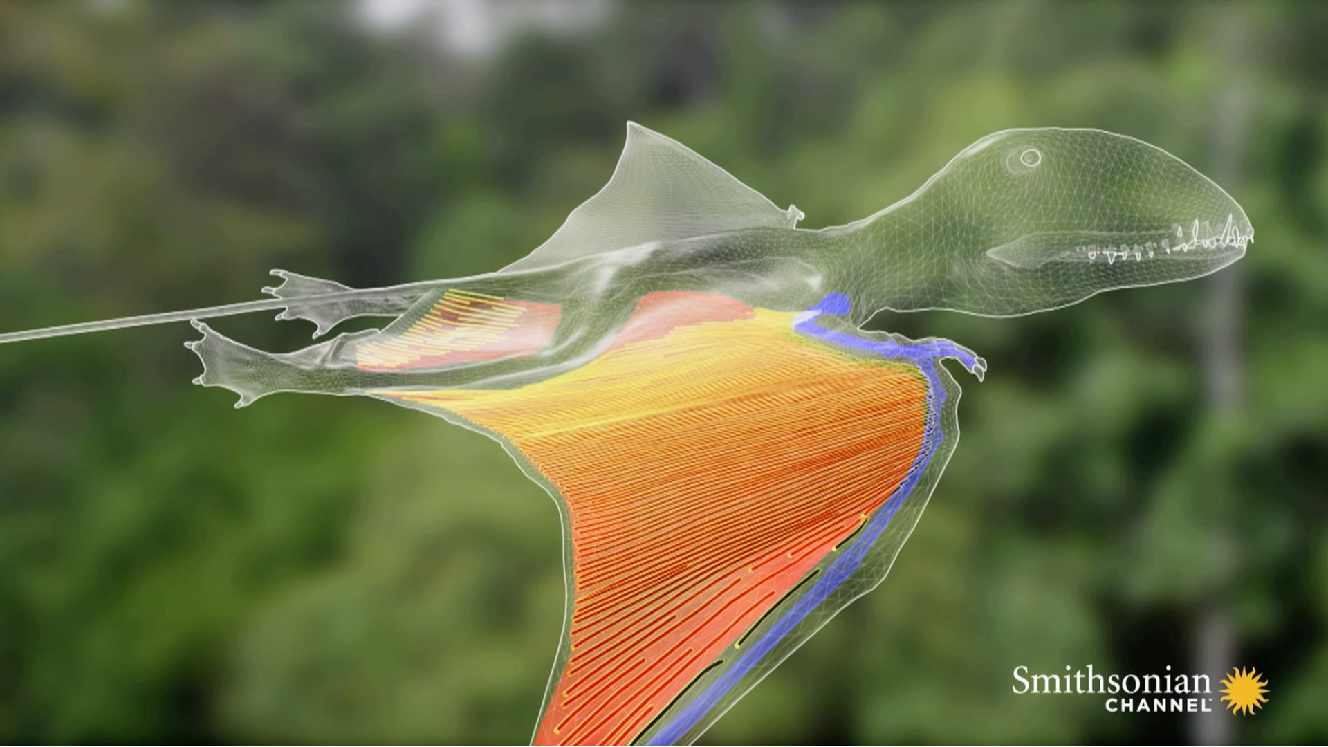 The Incredible Reptiles That Flew 200 Million Years Ago Smithsonian ...