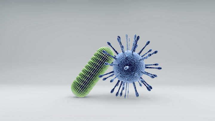 Ask Smithsonian: Whats the Difference Between Bacteria and Viruses ...