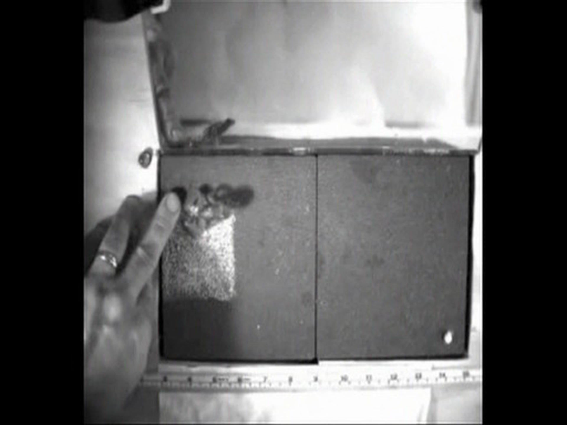 How Did Frogs Evolve? Smithsonian Magazine