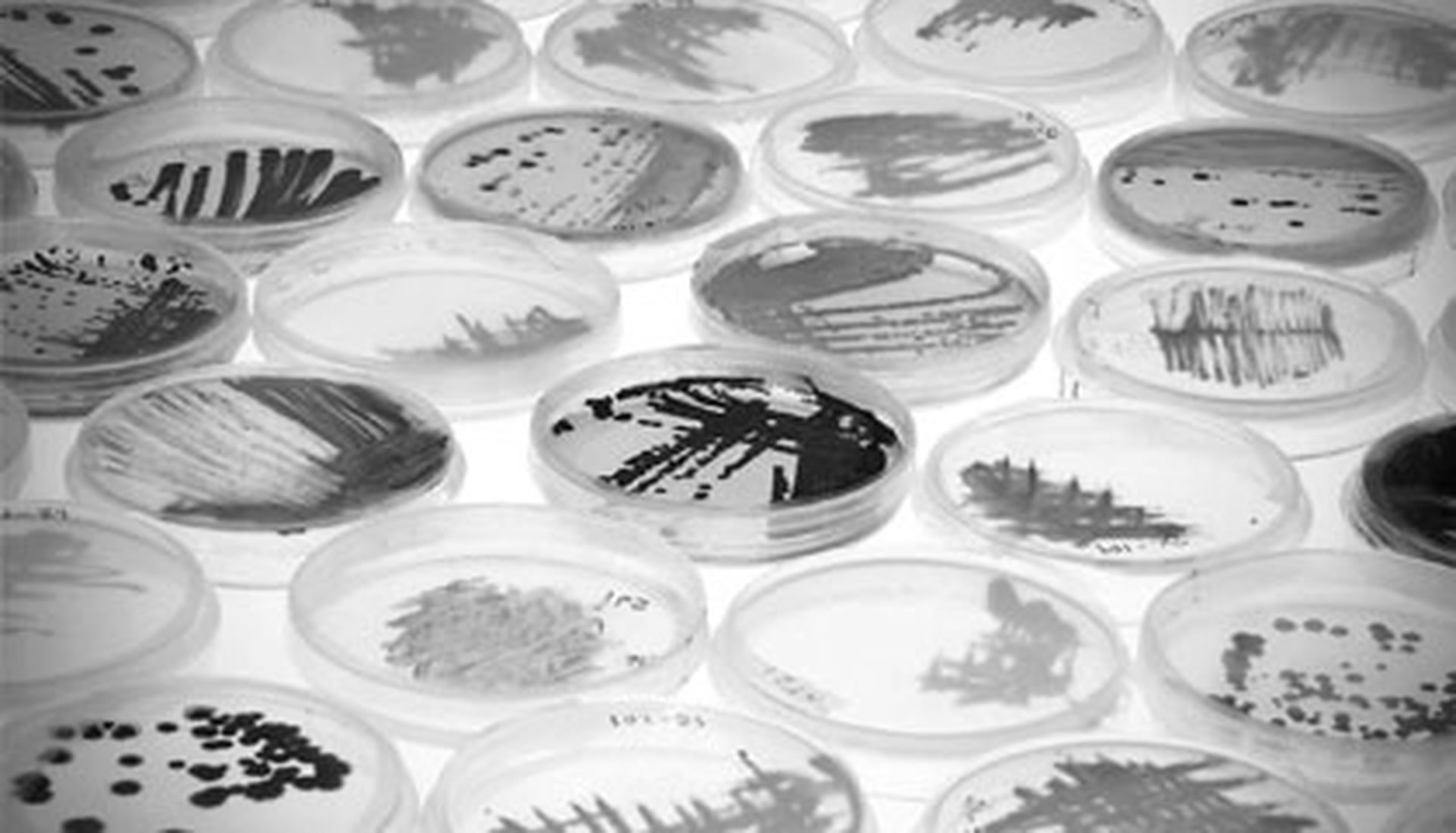 Sponsored Video: See How Solazyme Is Using Algae and Biotechnology to ...