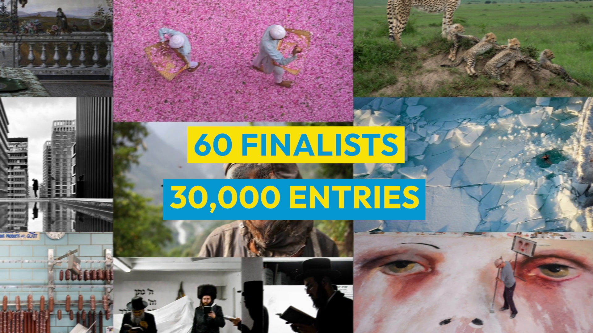 Announcing the Winners of the 21st Annual Smithsonian Magazine Photo ...