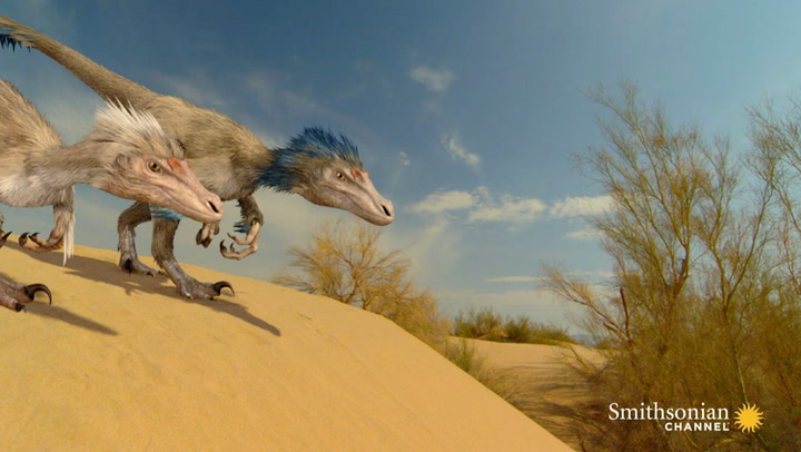 Prehistoric Kickboxing Killer Turkeys Smithsonian Magazine