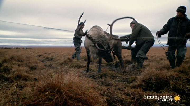 How Evolution Helped Us Adapt to the Arctic Smithsonian Magazine