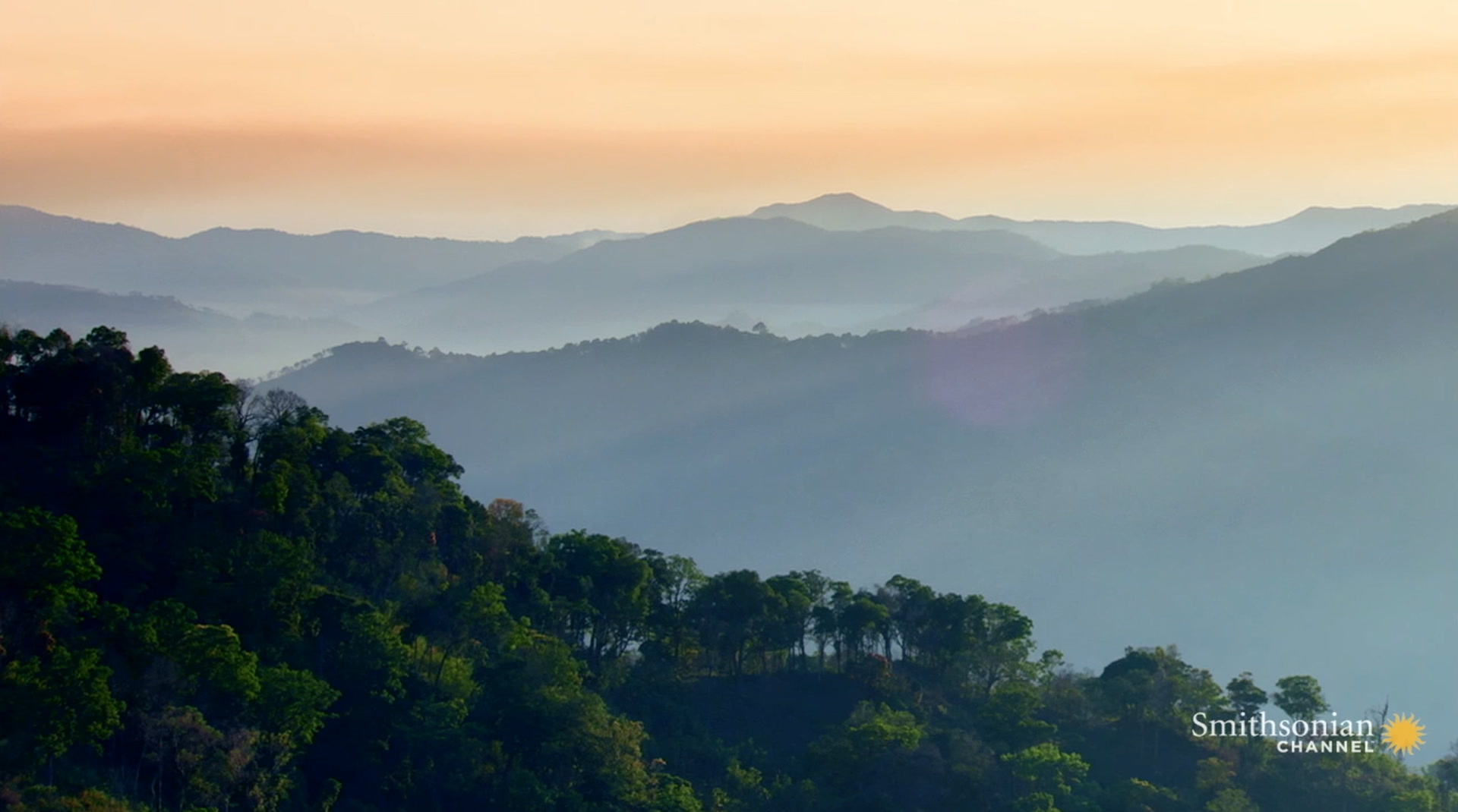 This Burmese Forest Has Been Untouched Since WWII Smithsonian Magazine