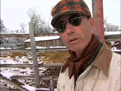 Wolves Return to the Rockies Smithsonian Magazine