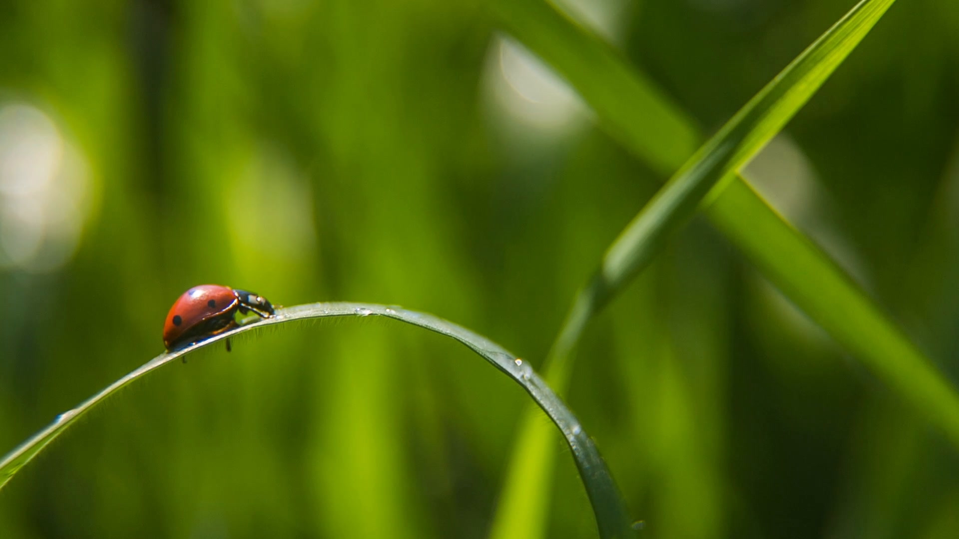 The Best Small Towns To Celebrate Spring Smithsonian Magazine