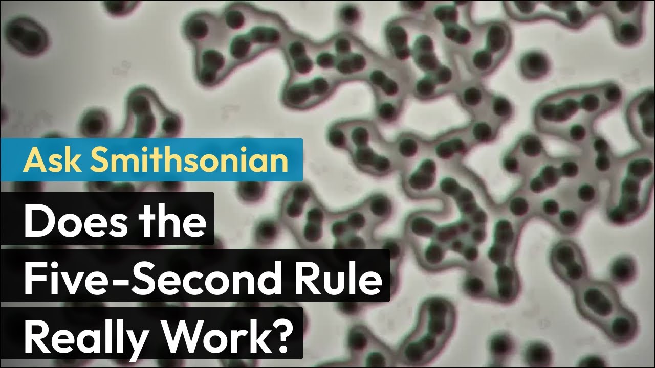 Ask Smithsonian: Does the Five-Second Rule Really Work? Smithsonian ...