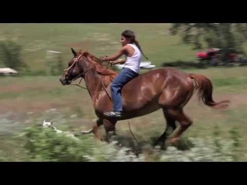 The Battle of the Greasy Grass Smithsonian Magazine