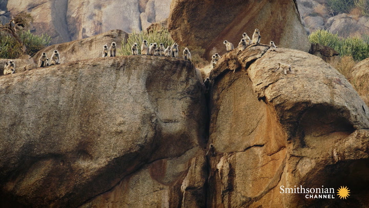 The Wildlife at Leopard Rocks Is as Impressive as the Terrain ...