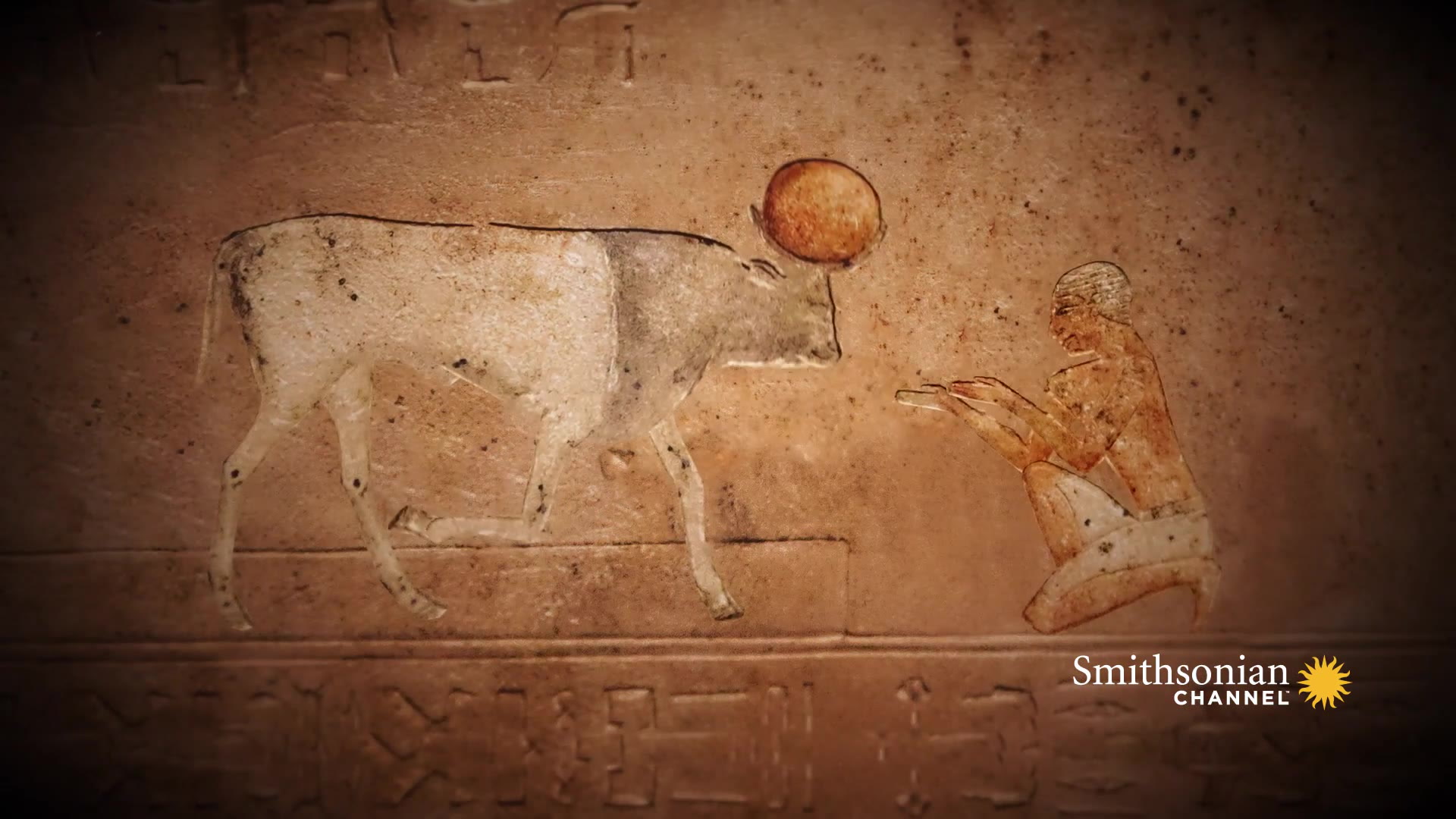 Cat Mummies Were a Big Thing in Ancient Egypt Smithsonian Magazine