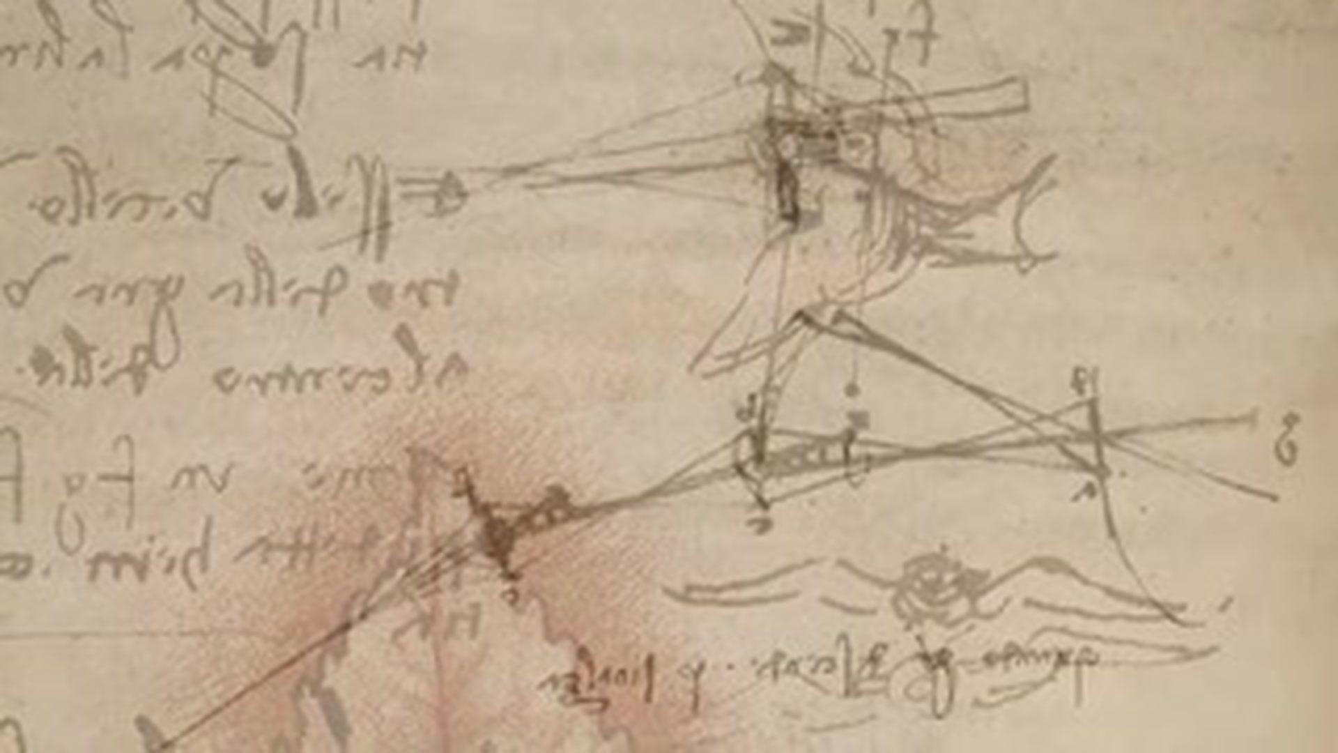 Codex on the Flight of Birds Smithsonian Magazine