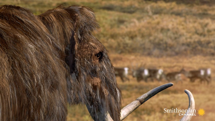 What Really Killed Off the Woolly Mammoth? Smithsonian Magazine