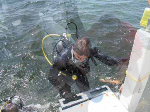 Underwater Archaeology in Pensacola Bay Smithsonian Magazine