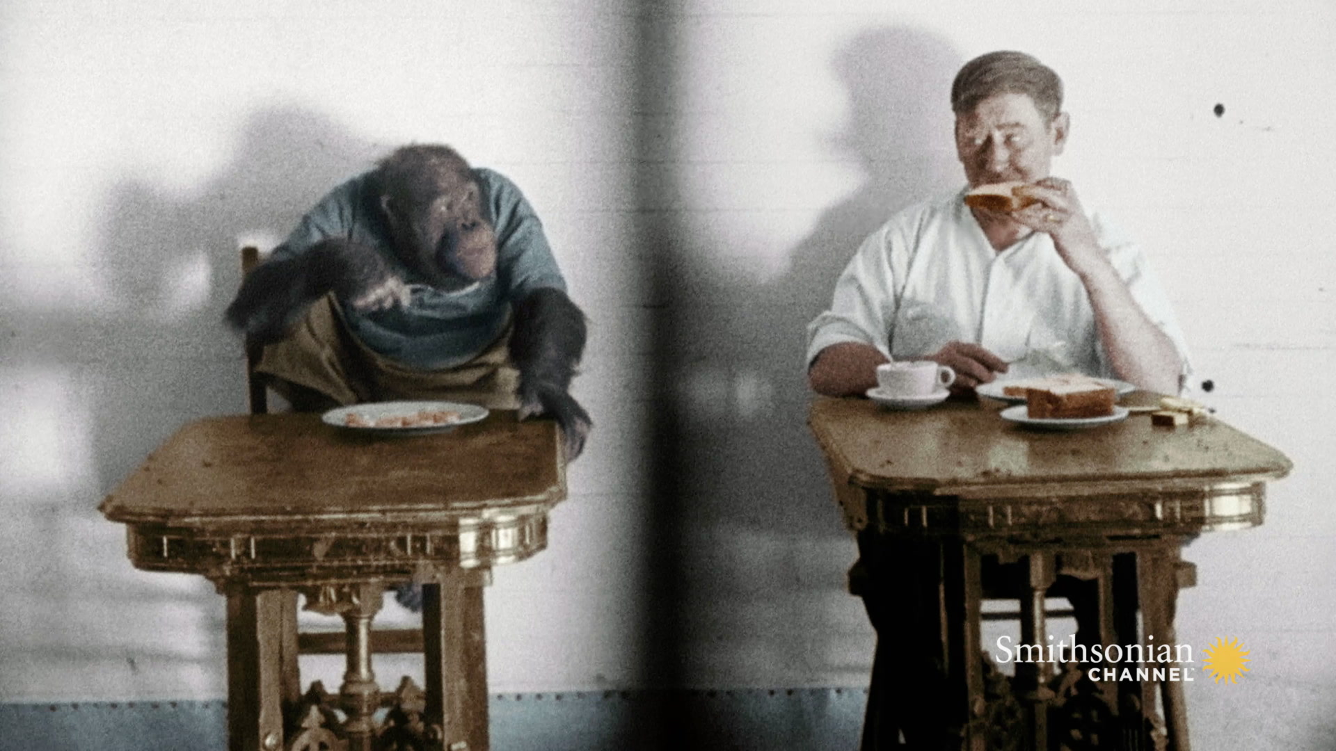 This Man Was Tried in Tennessee for Teaching Evolution Smithsonian Magazine