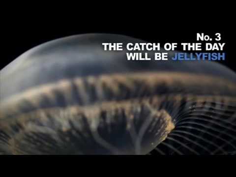 Smithsonian 40 years Smithsonian Magazine