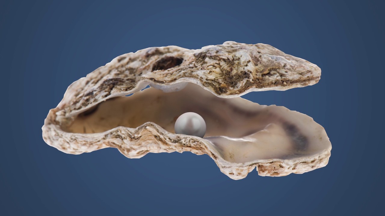 Ask Smithsonian: What’s a Stone Baby? Smithsonian Magazine