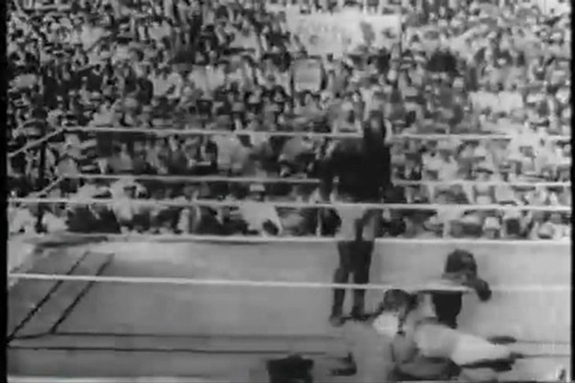 The Johnson-Jeffries Fight Smithsonian Magazine