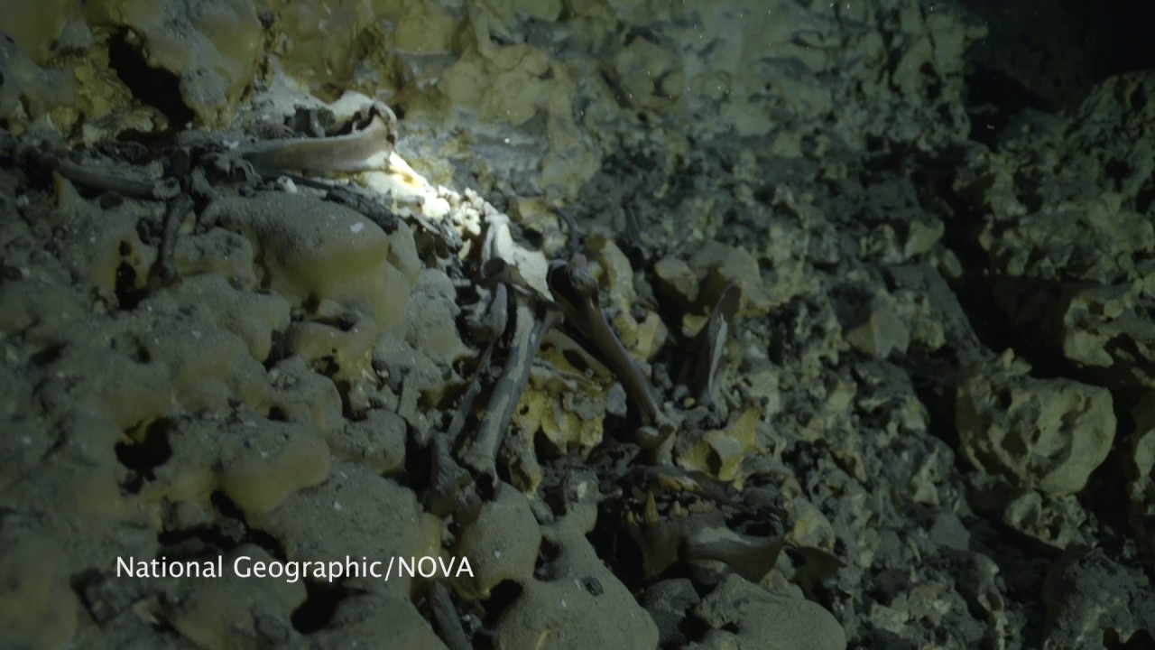 Researchers Discover the Oldest, Most Complete Skeleton Discovered in ...