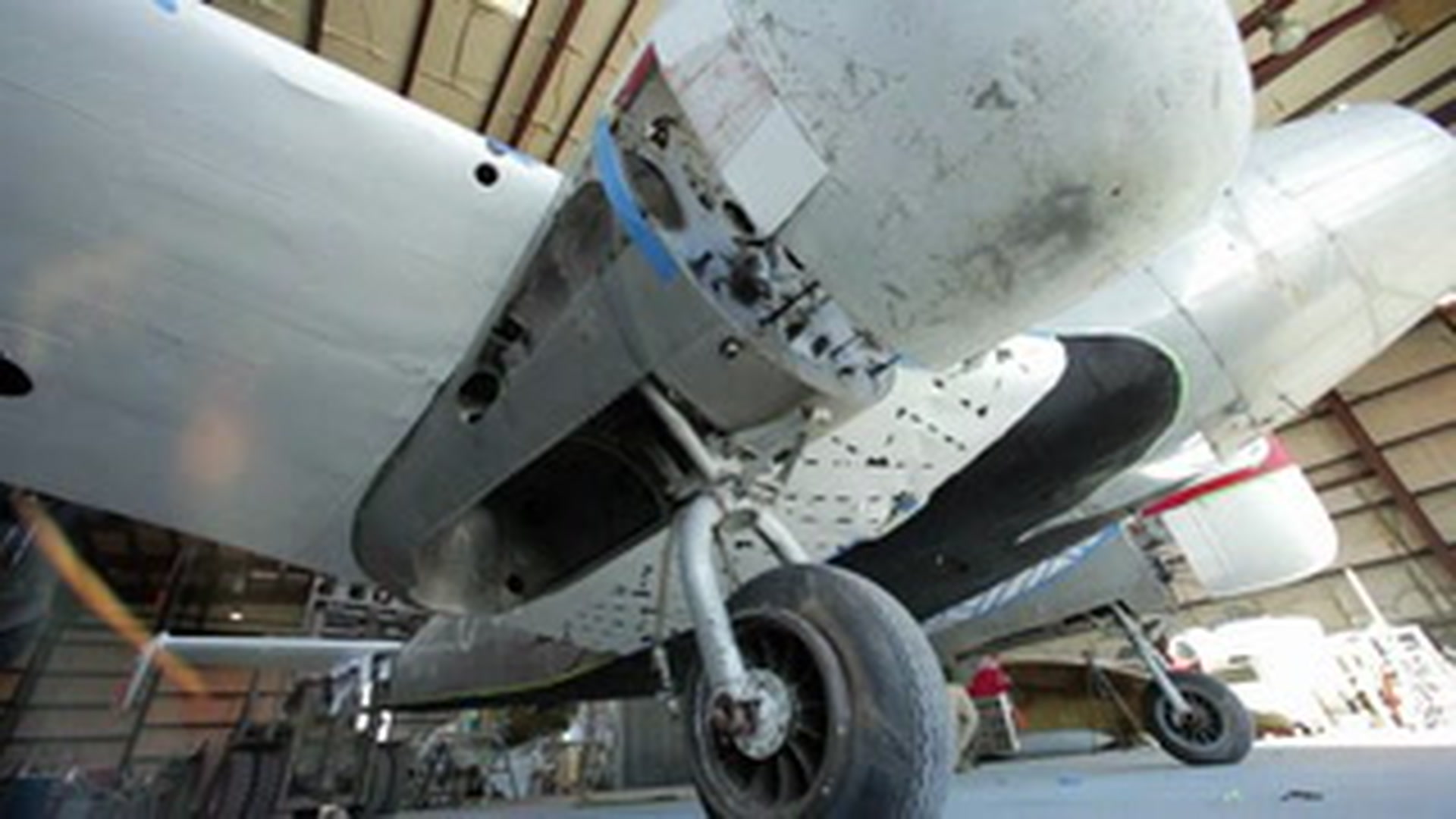 The Boneyard Project Smithsonian Magazine