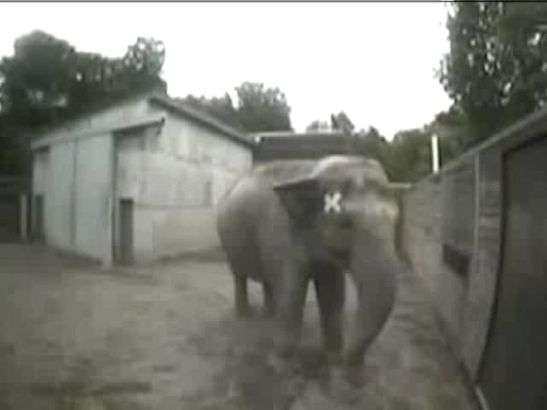 The Mark Test Smithsonian Magazine