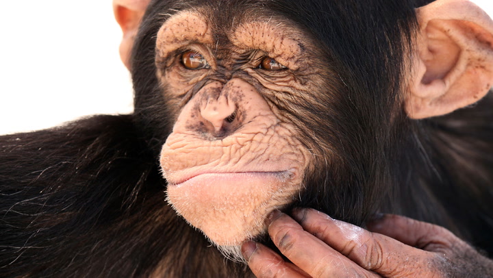 The Directed Scratch Smithsonian Magazine