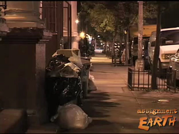 New York City Street Rats Smithsonian Magazine