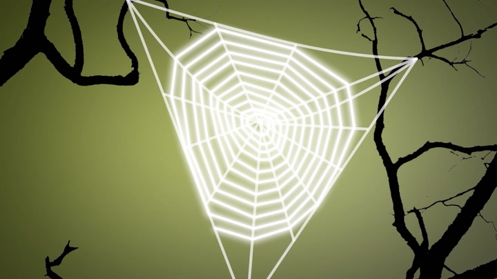 Ask Smithsonian: How Do Spiders Make a Web? Smithsonian Magazine