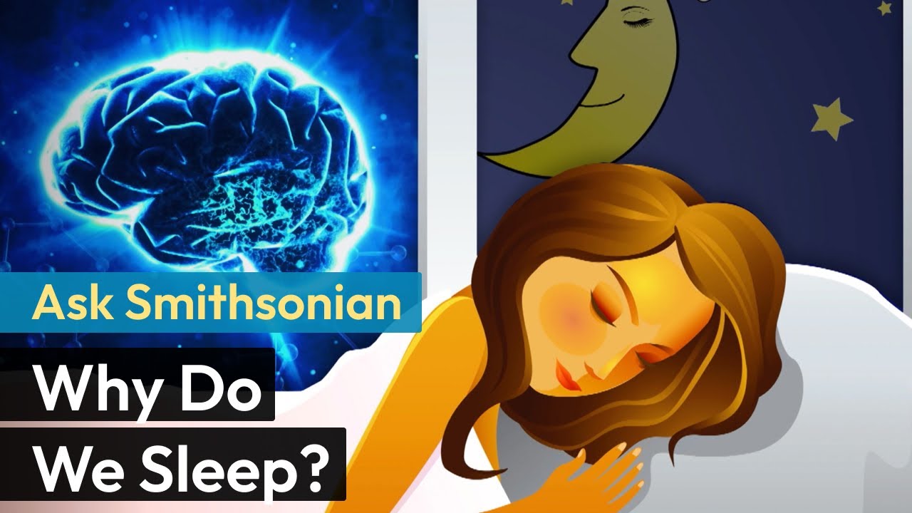 Ask Smithsonian: Why Do We Sleep? Smithsonian Magazine