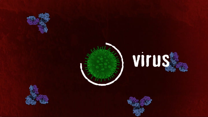 Ask Smithsonian: How Do Vaccines Work? Smithsonian Magazine